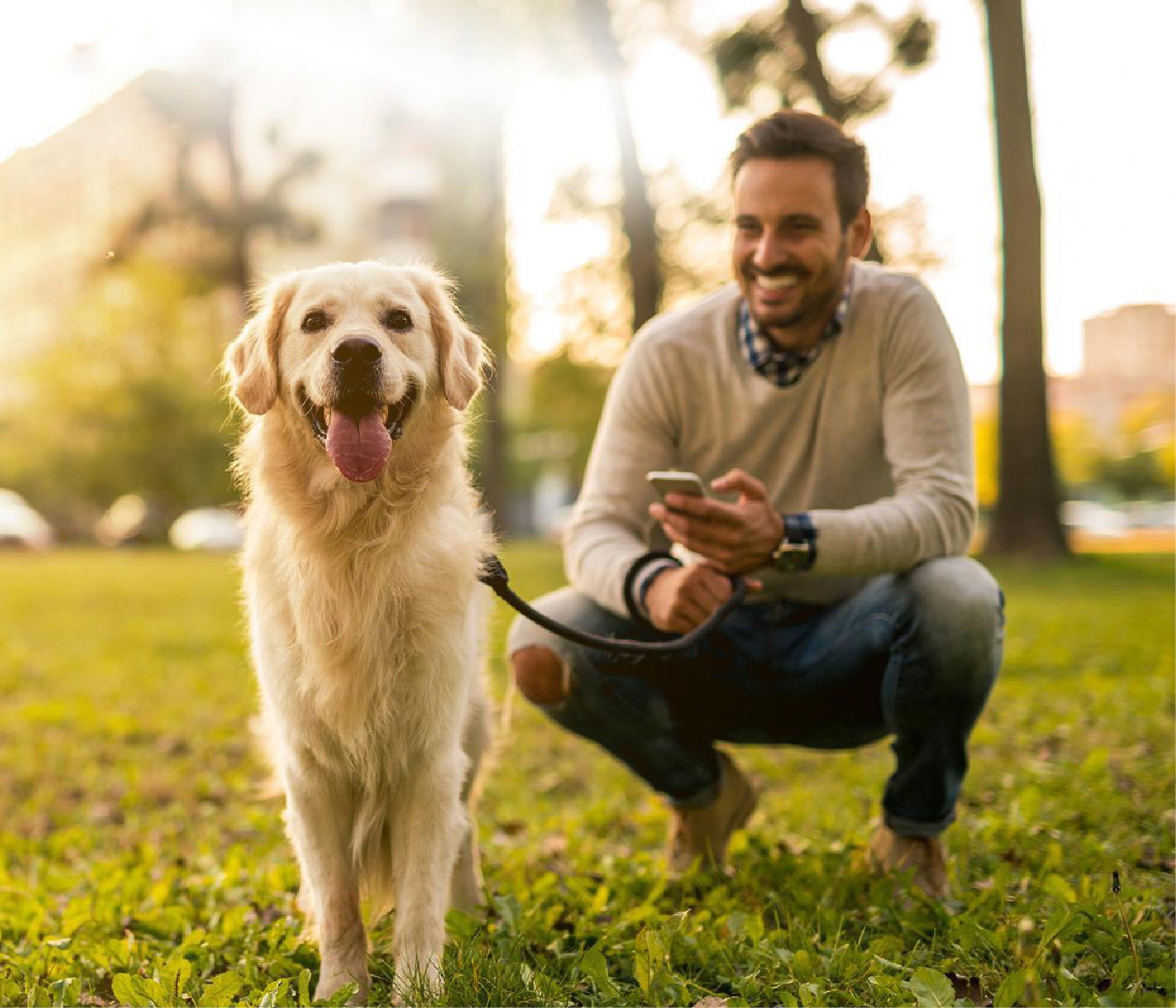 Empowering Paws: AI Wearables for Animal Vitality - Technology for ...
