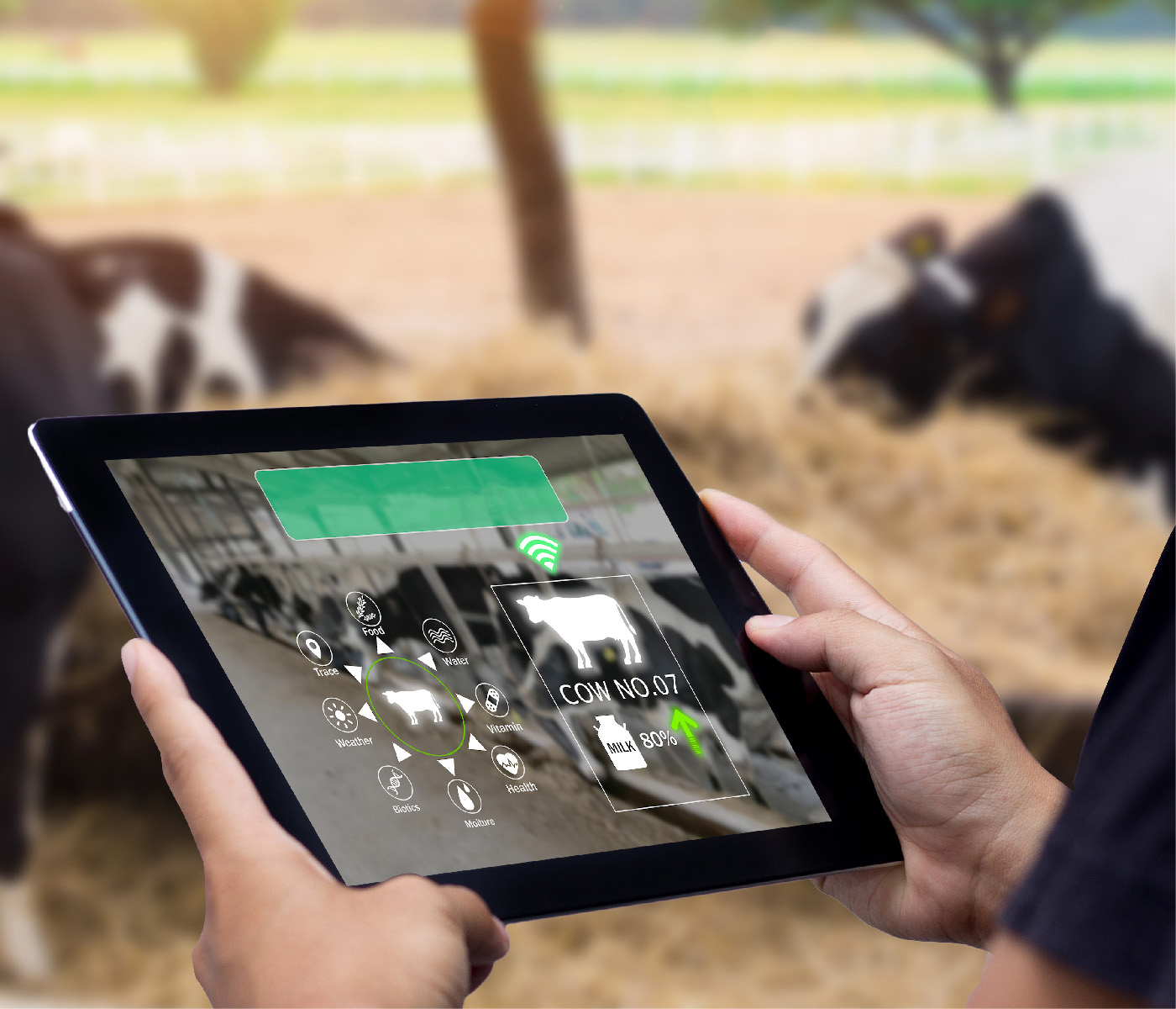 IoT-Enabled Tracking and Identification Systems for Livestock ...