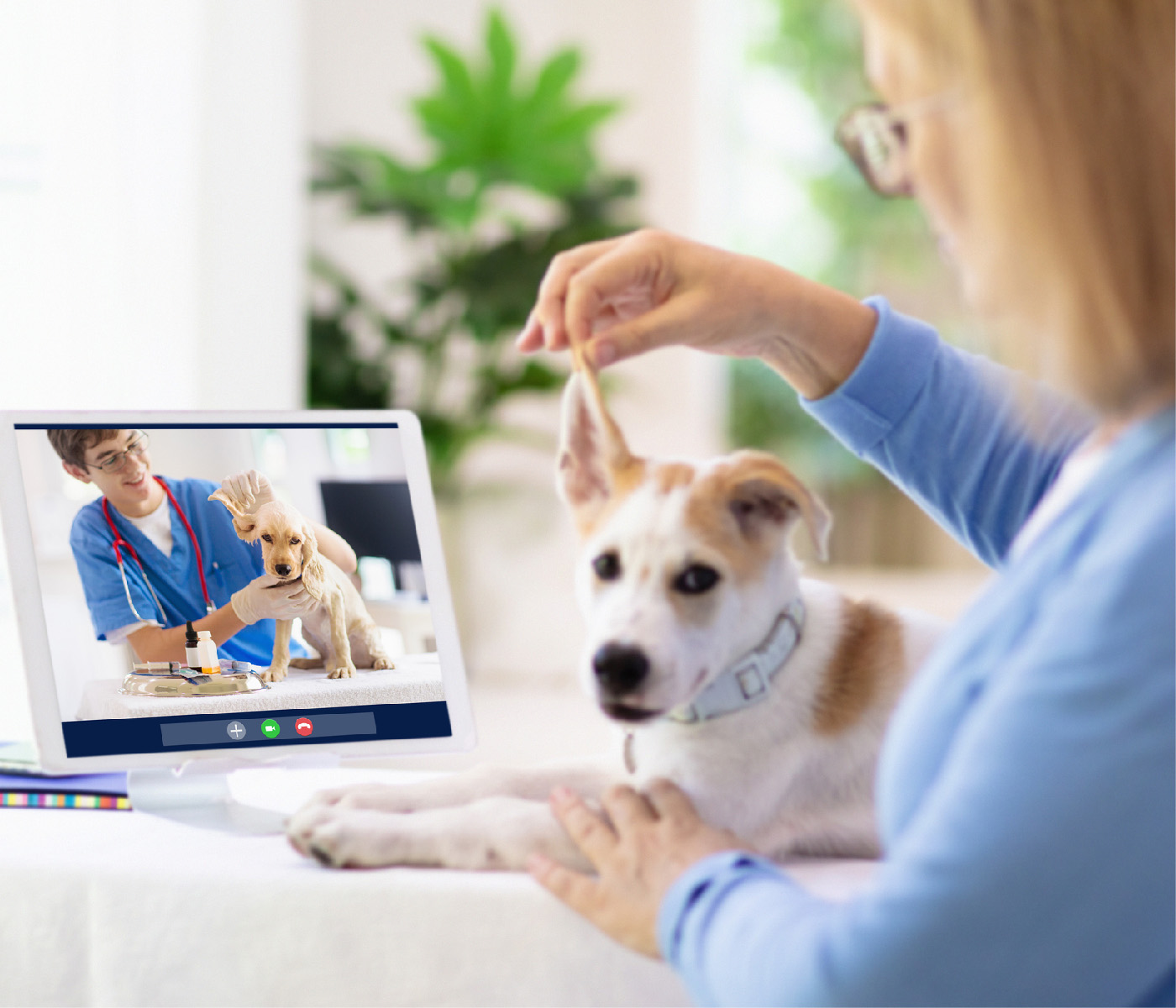 Telemonitoring of Home-based Animal Patients - Technology for Animal Health