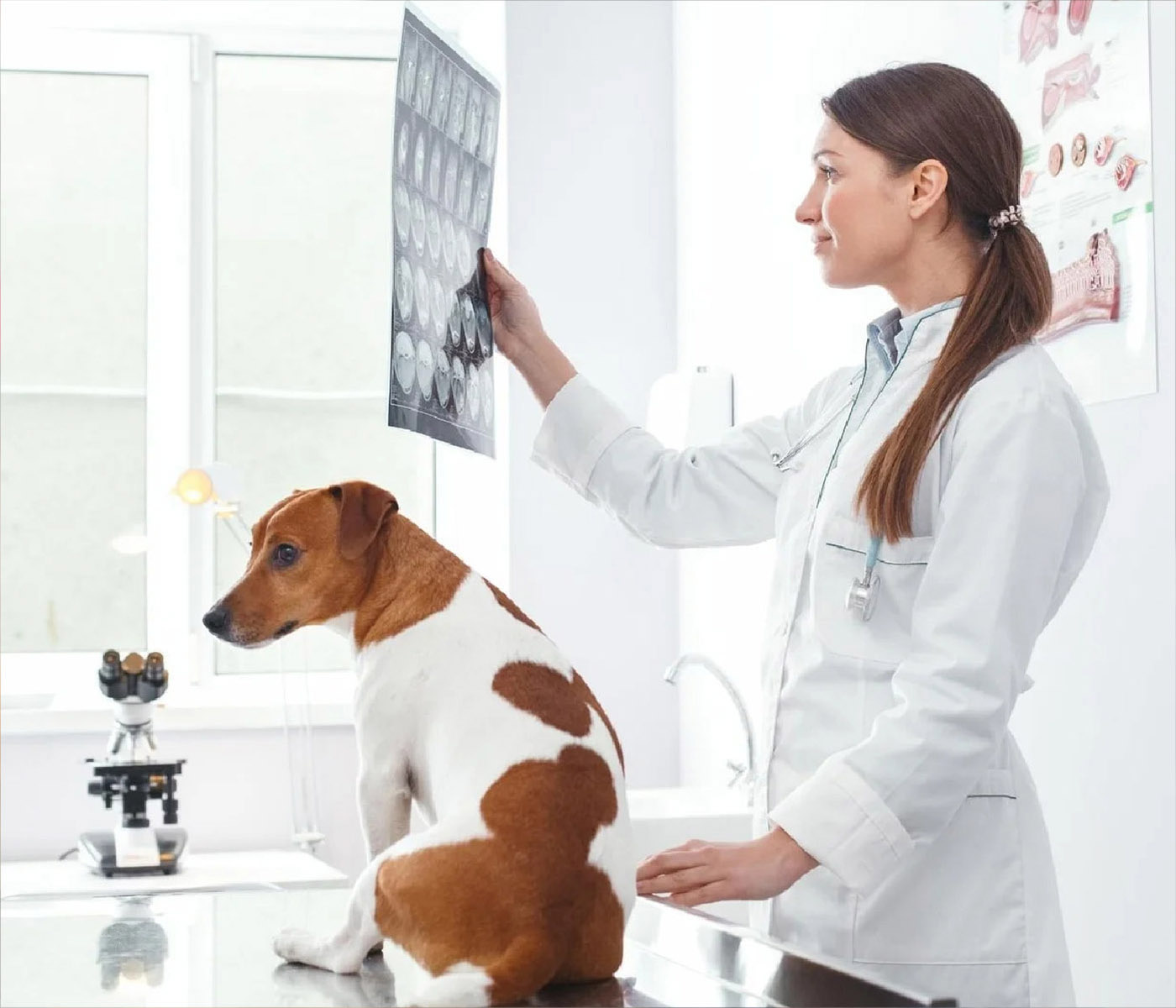 AI-Enhanced Imaging Techniques for Early Cancer Detection in Animals ...