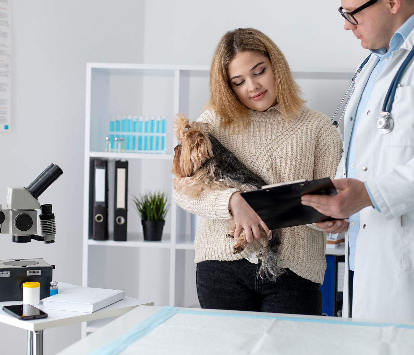 The Use of AI in Veterinary Dermatology: Identifying Skin Conditions ...