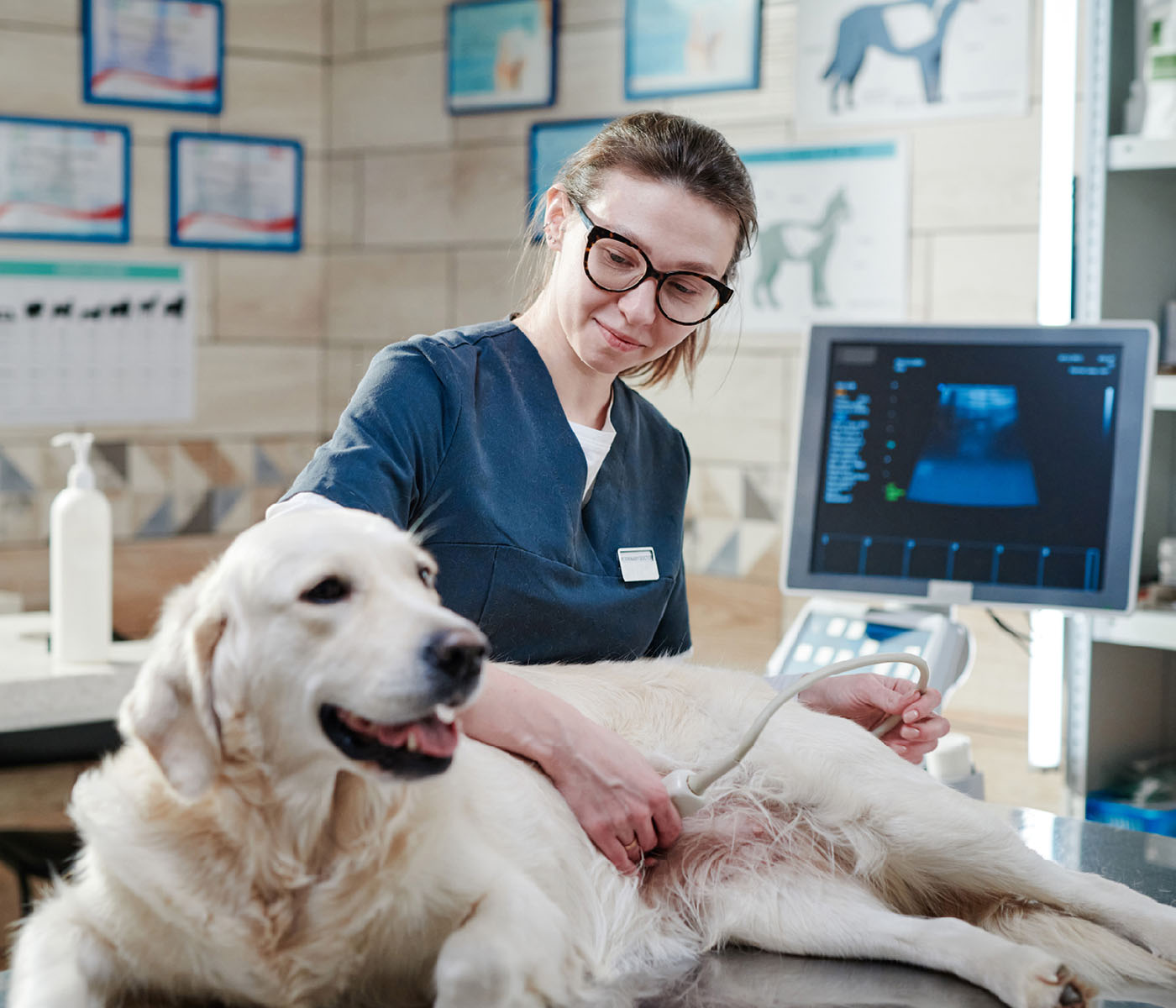 Implementing AI-Driven Diagnostics in Veterinary Practices - Technology ...